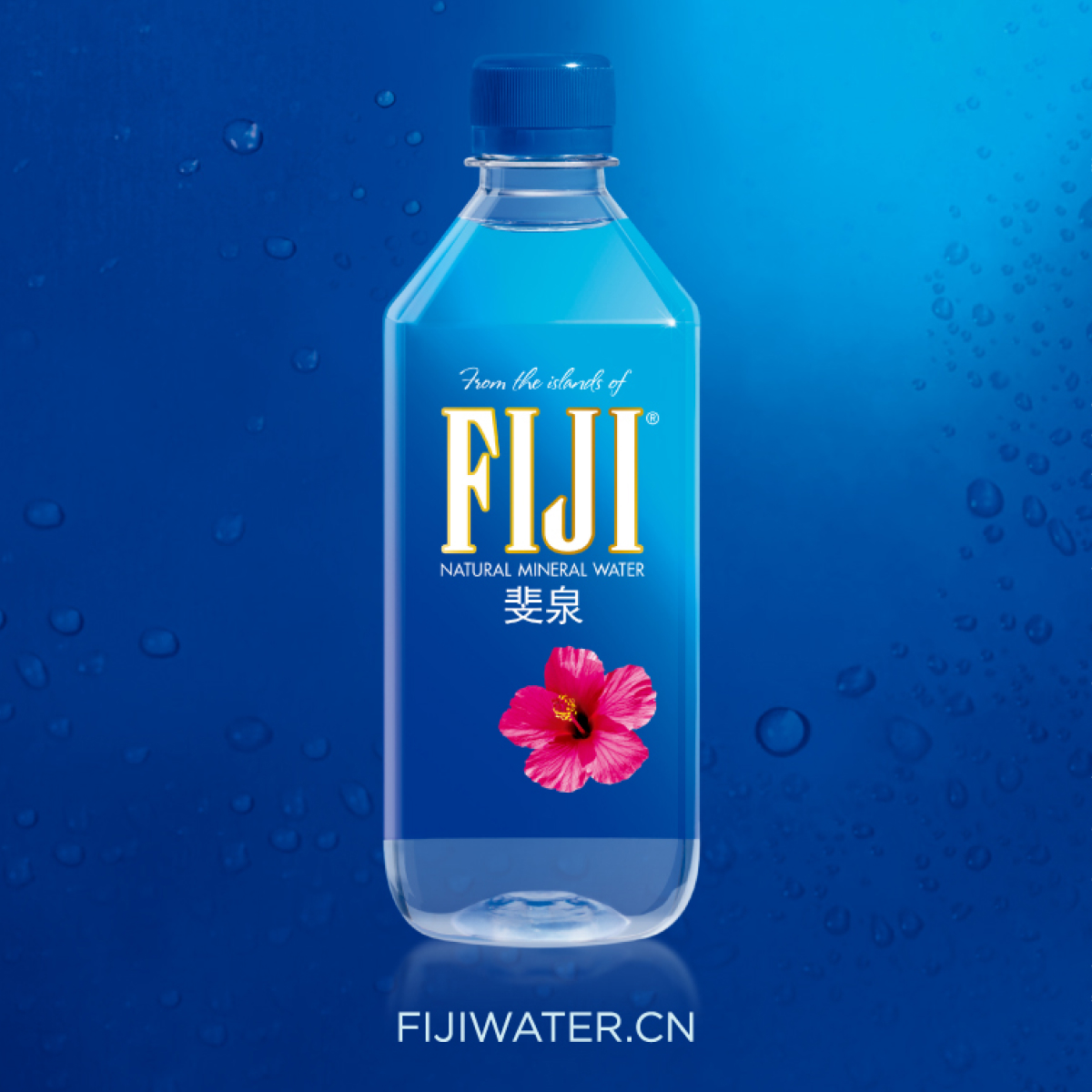 FIJI Water Jebsen FIJI Water Jebsen